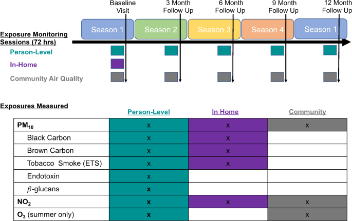 Calculadora ABG – Análisis ácido-base (gas en sangre arterial) - Fisio One